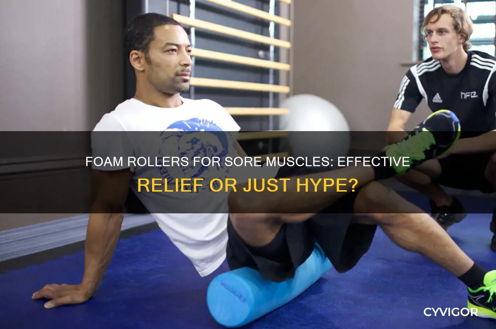 Foam Rollers For Sore Muscles: Effective Relief Or Just Hype? | CyVigor