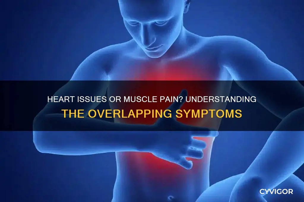 Heart Issues Or Muscle Pain? Understanding The Overlapping Symptoms ...