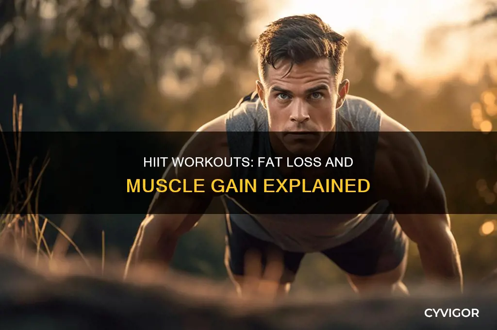 Hiit Workouts: Fat Loss And Muscle Gain Explained | CyVigor