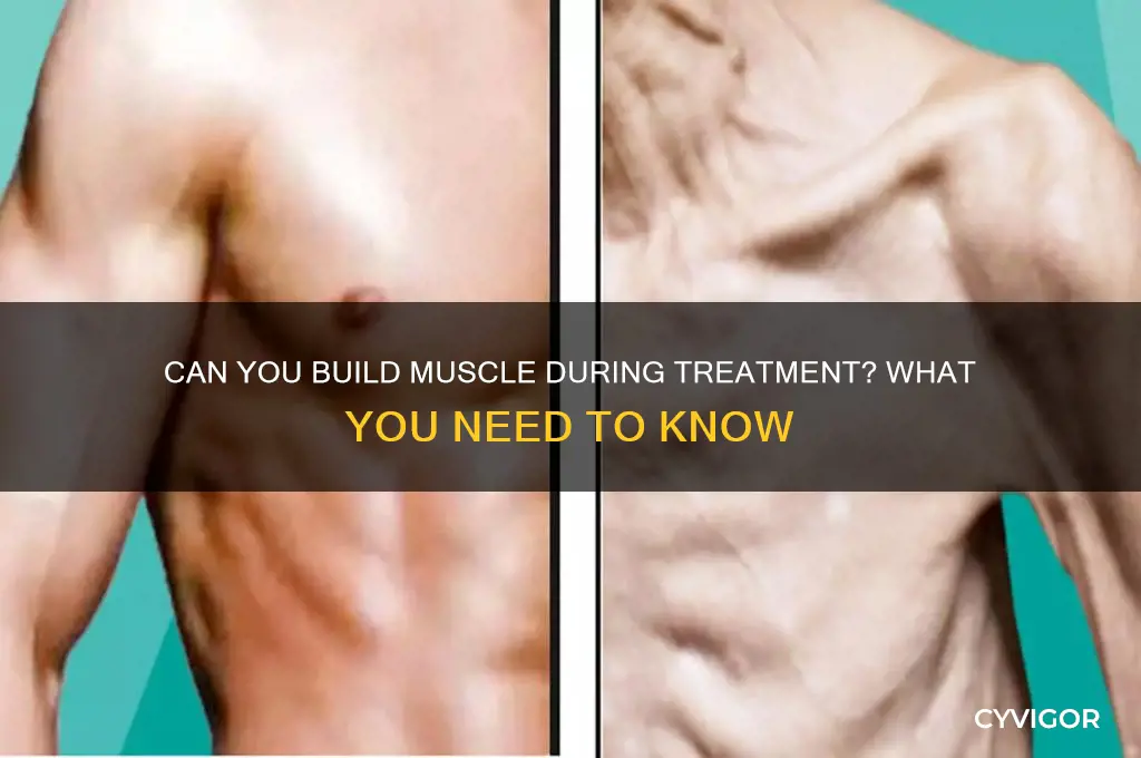 Can You Build Muscle During Treatment? What You Need To Know | CyVigor