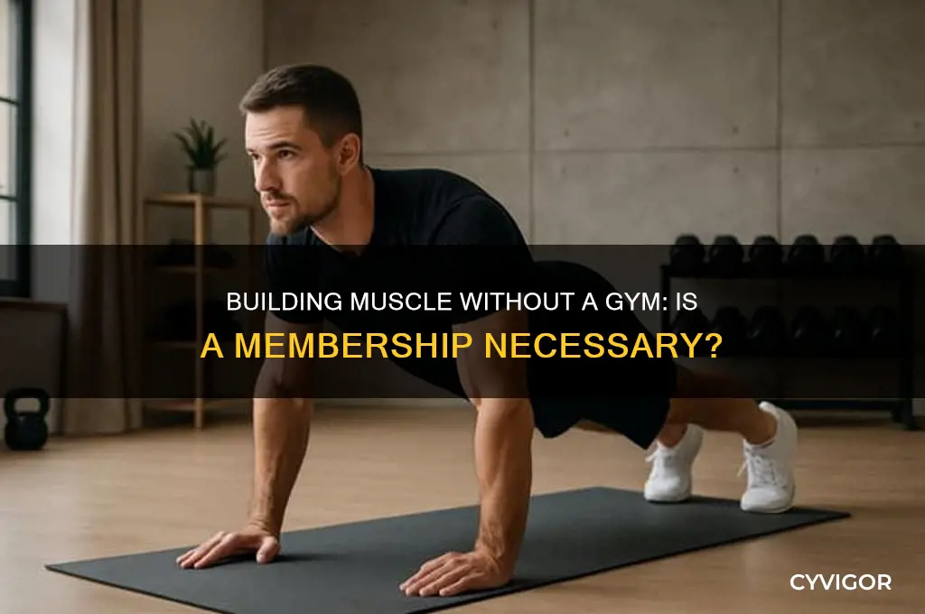 Building Muscle Without A Gym: Is A Membership Necessary? | CyVigor