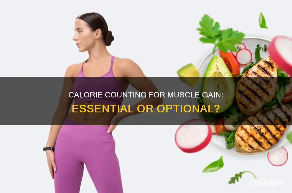 Calorie Counting For Muscle Gain: Essential Or Optional? | CyVigor