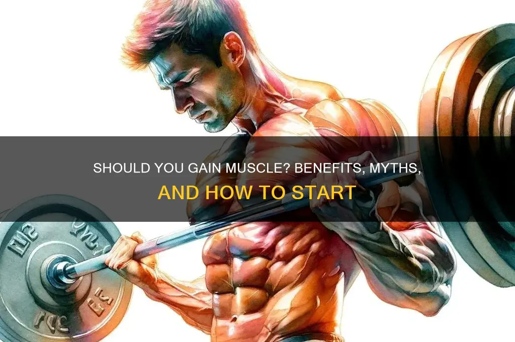 Should You Gain Muscle? Benefits, Myths, And How To Start | CyVigor