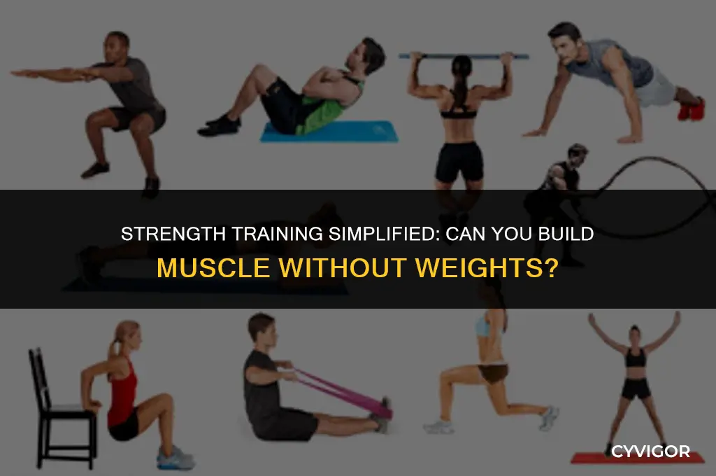 Strength Training Simplified: Can You Build Muscle Without Weights ...
