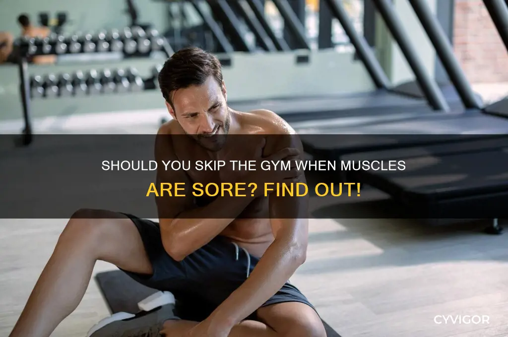 Should You Skip The Gym When Muscles Are Sore? Find Out! | CyVigor