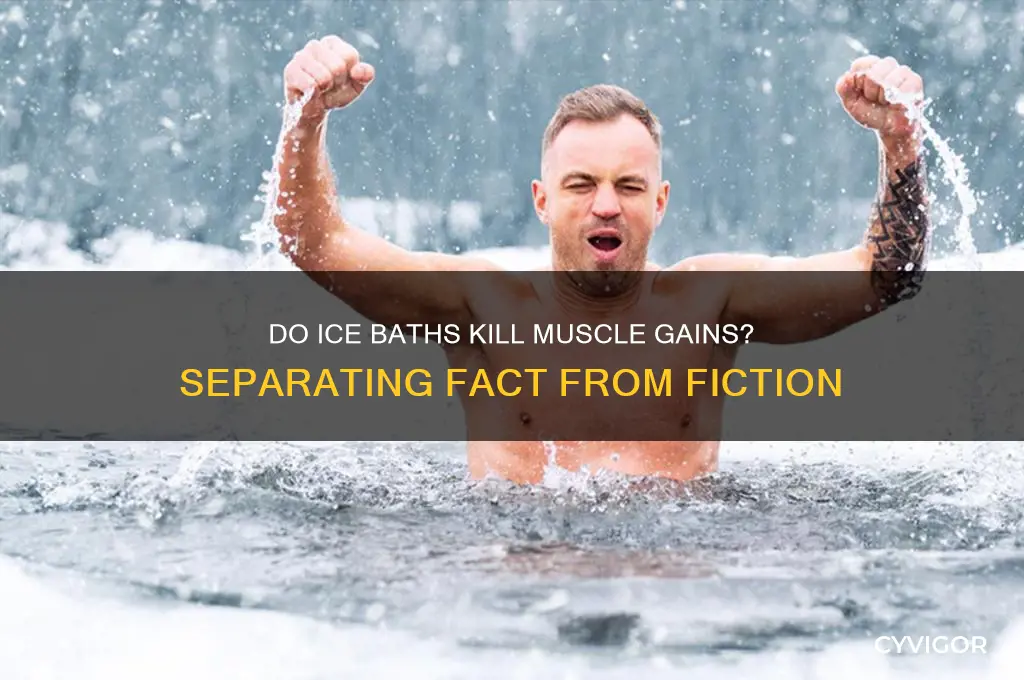 Do Ice Baths Kill Muscle Gains? Separating Fact From Fiction | CyVigor