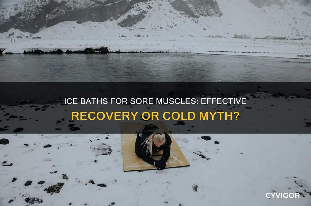 Ice Baths For Sore Muscles: Effective Recovery Or Cold Myth? | CyVigor