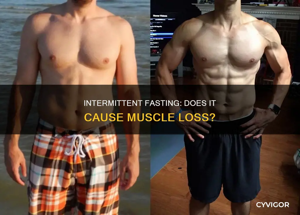 Intermittent Fasting: Does It Cause Muscle Loss? | CyVigor