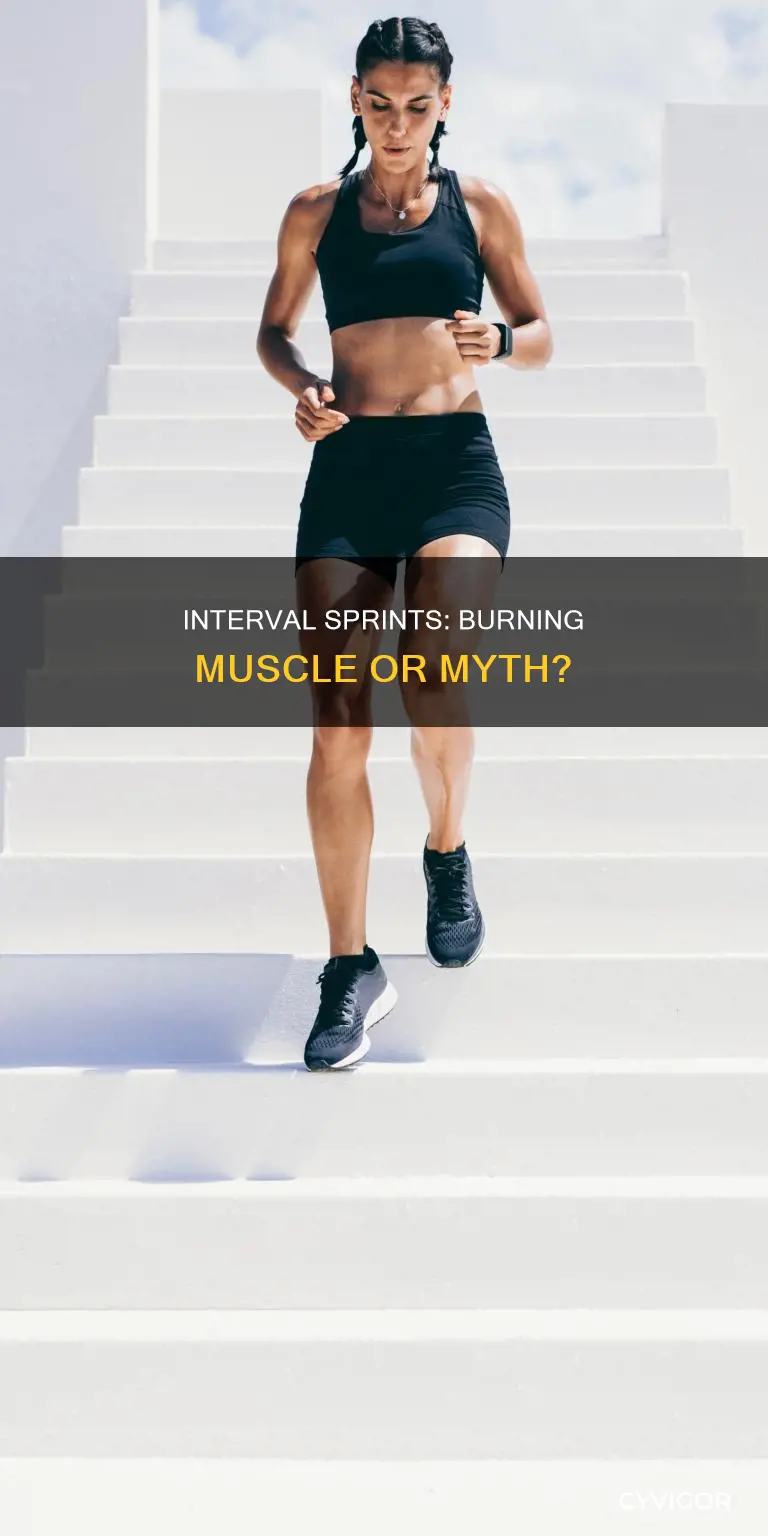 Interval Sprints: Burning Muscle Or Myth? | CyVigor