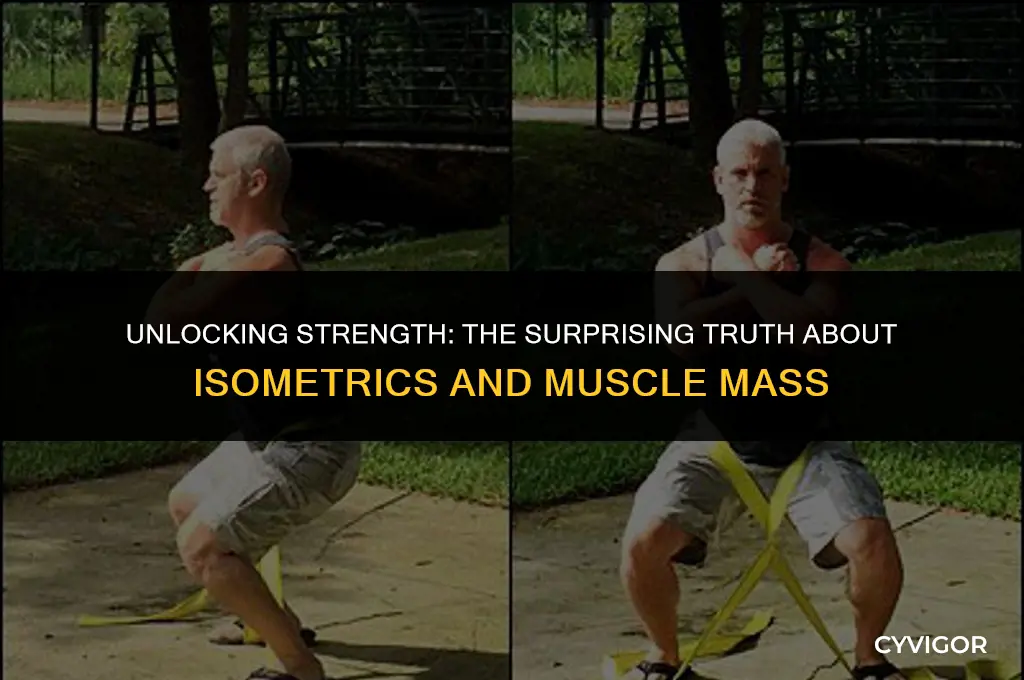Unlocking Strength: The Surprising Truth About Isometrics And Muscle ...