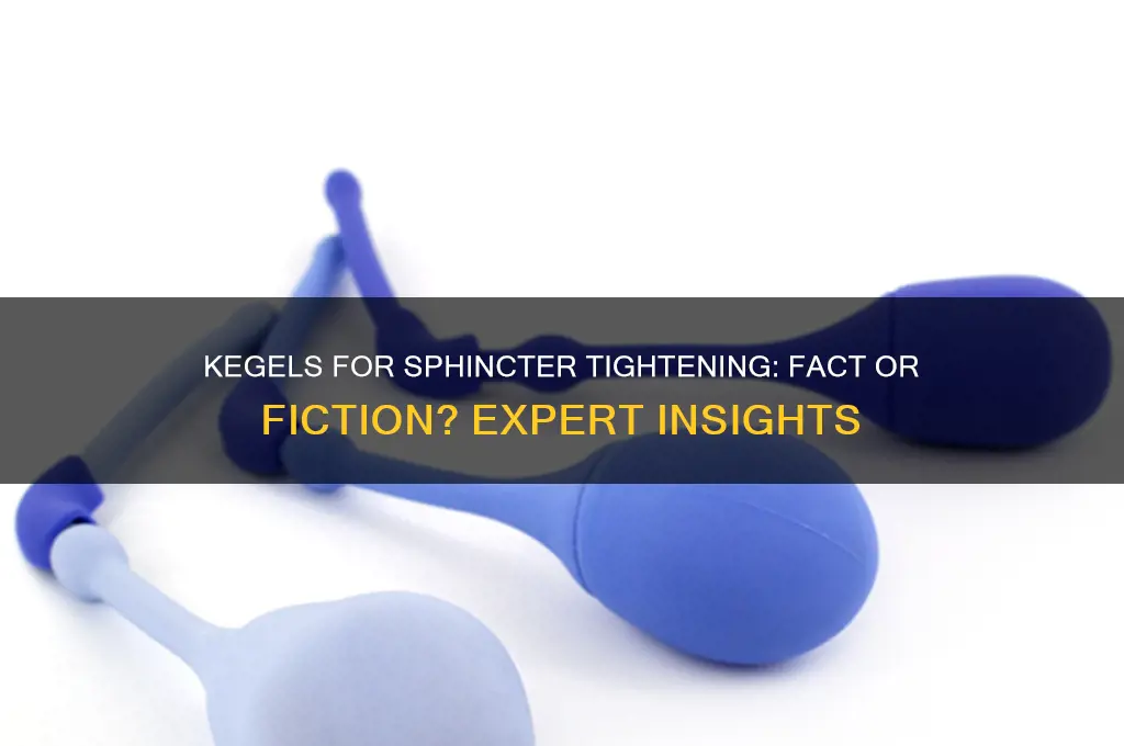 Kegels For Sphincter Tightening: Fact Or Fiction? Expert Insights | CyVigor