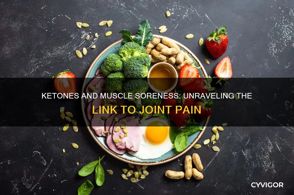 Ketones And Muscle Soreness: Unraveling The Link To Joint Pain | CyVigor