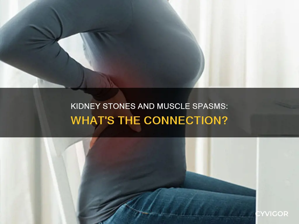 Kidney Stones And Muscle Spasms: What's The Connection? | CyVigor