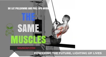 Lat Pulldowns Vs. Rows: Targeting The Same Muscles? | CyVigor
