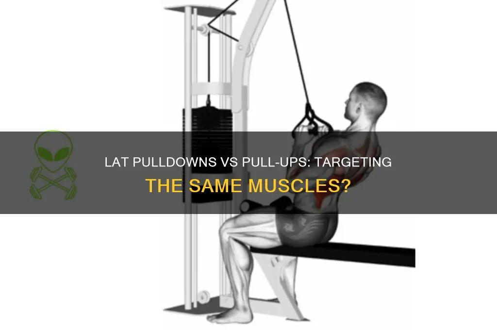 Lat Pulldowns Vs Pull-Ups: Targeting The Same Muscles? | CyVigor