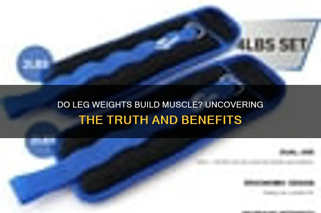 Do Leg Weights Build Muscle? Uncovering The Truth And Benefits | CyVigor