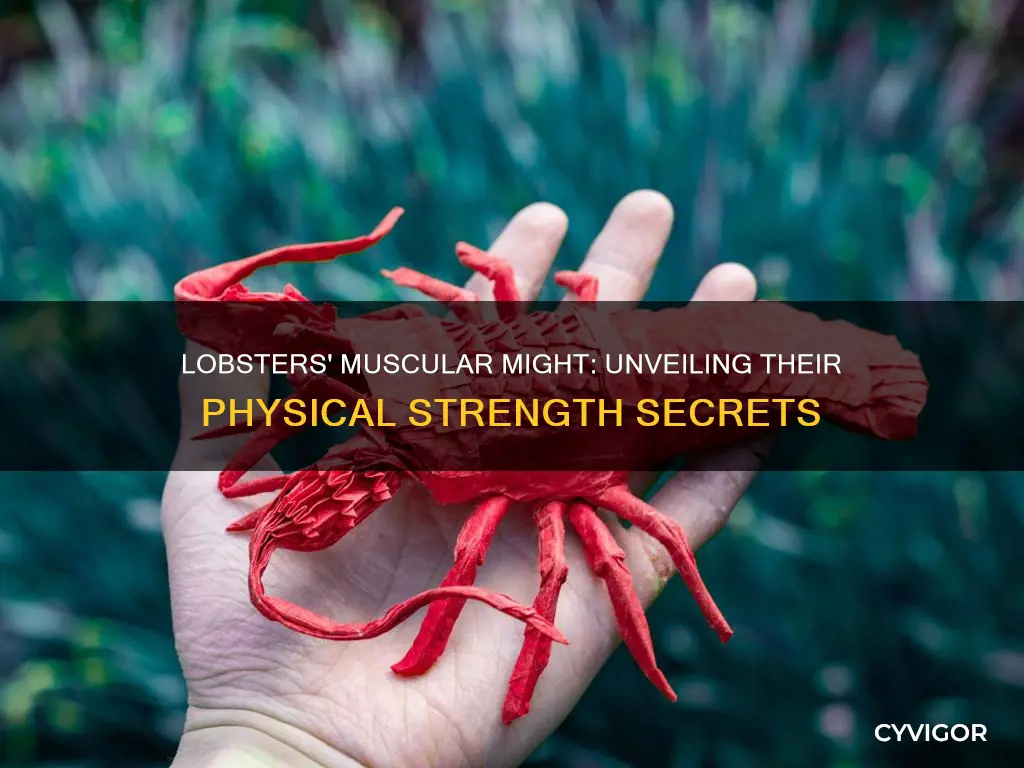 Lobsters' Muscular Might: Unveiling Their Physical Strength Secrets ...