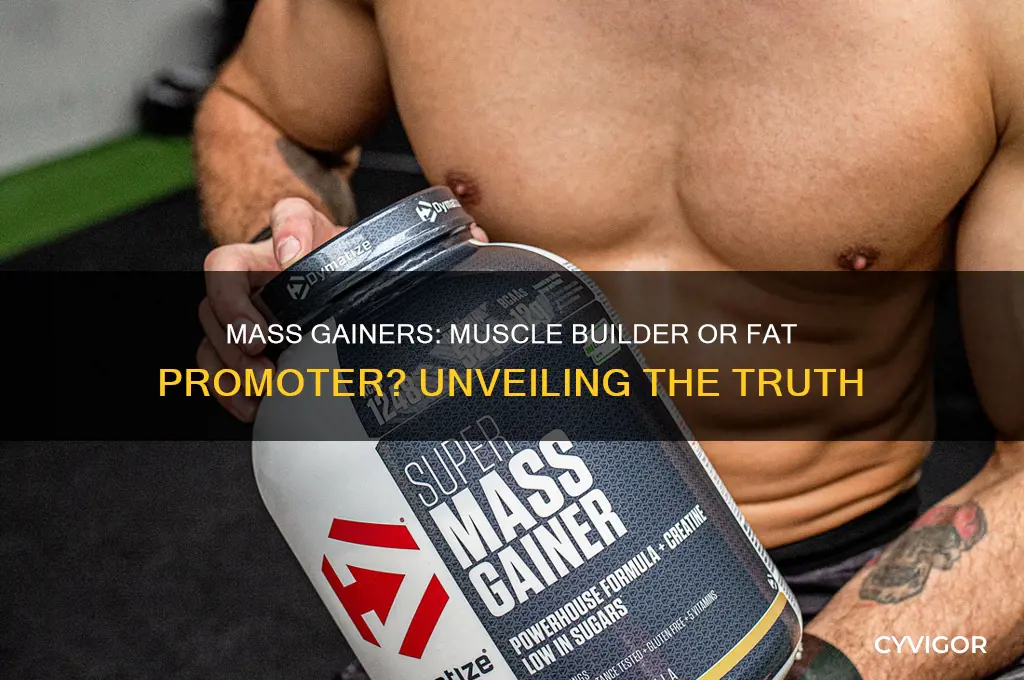Mass Gainers: Muscle Builder Or Fat Promoter? Unveiling The Truth | CyVigor