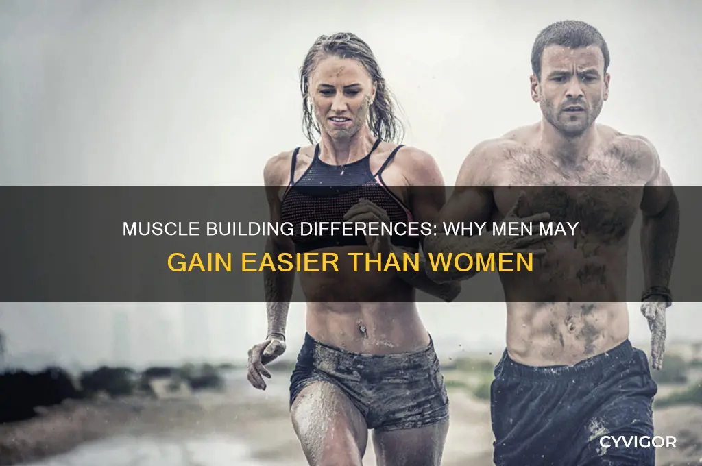 Muscle Building Differences: Why Men May Gain Easier Than Women | CyVigor