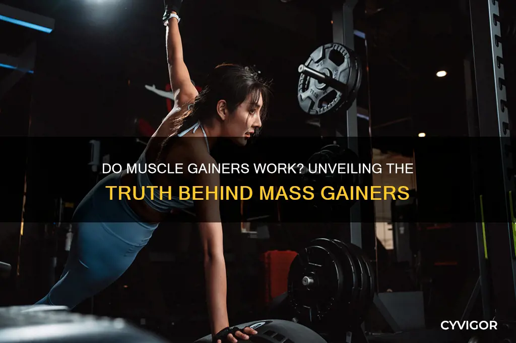 Do Muscle Gainers Work? Unveiling The Truth Behind Mass Gainers | CyVigor