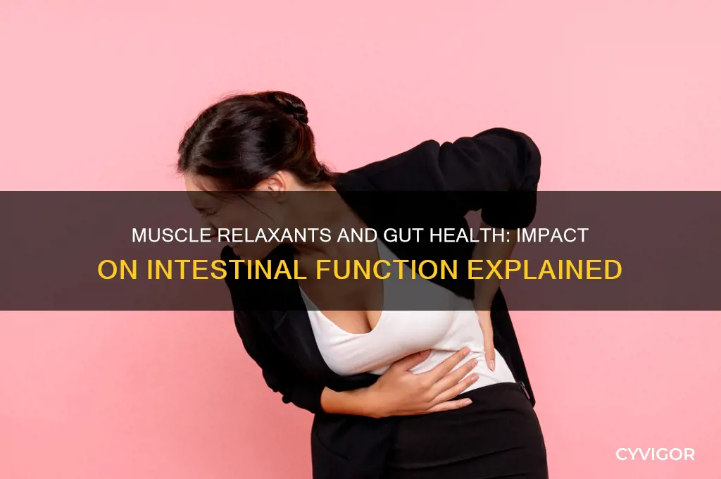 Muscle Relaxants And Gut Health: Impact On Intestinal Function ...