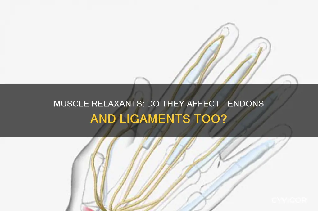 Muscle Relaxants: Do They Affect Tendons And Ligaments Too? | CyVigor