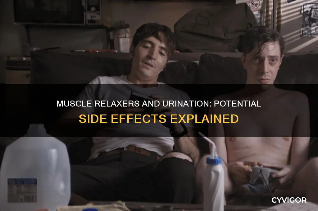 Muscle Relaxers And Urination: Potential Side Effects Explained | CyVigor