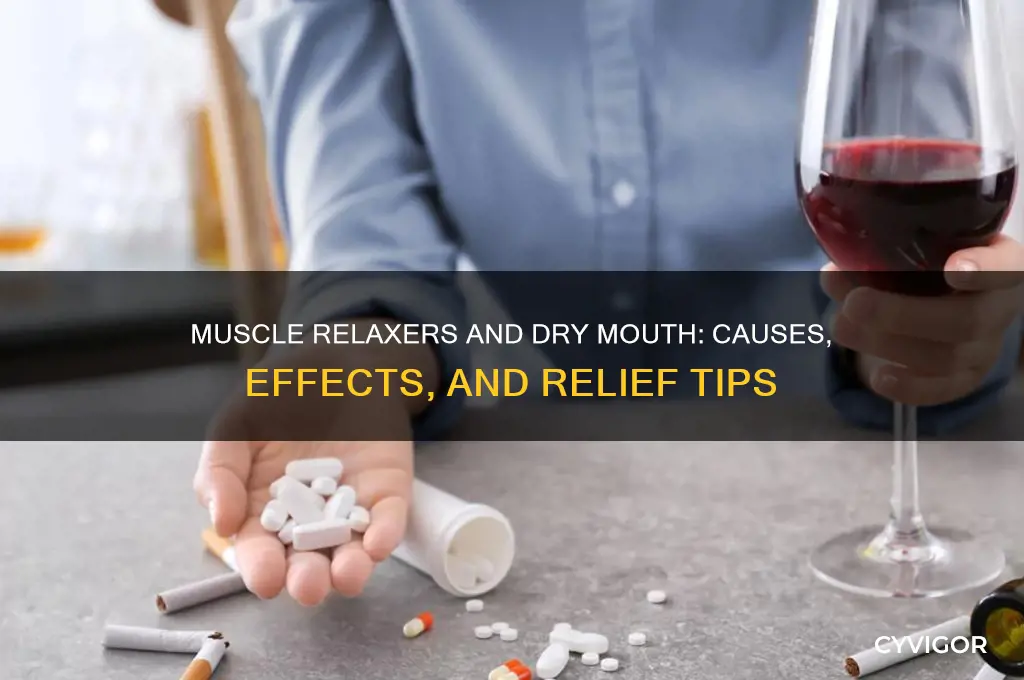 Muscle Relaxers And Dry Mouth: Causes, Effects, And Relief Tips | CyVigor