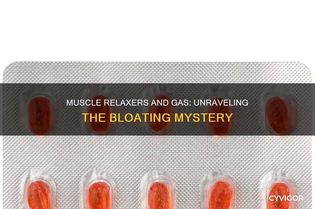 Muscle Relaxers And Gas: Unraveling The Bloating Mystery | CyVigor