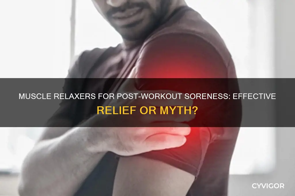 Muscle Relaxers For Post-Workout Soreness: Effective Relief Or Myth ...