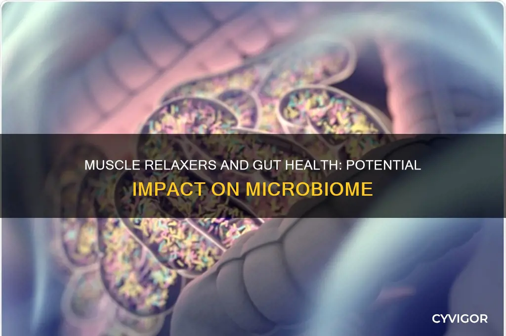 Muscle Relaxers And Gut Health: Potential Impact On Microbiome | CyVigor