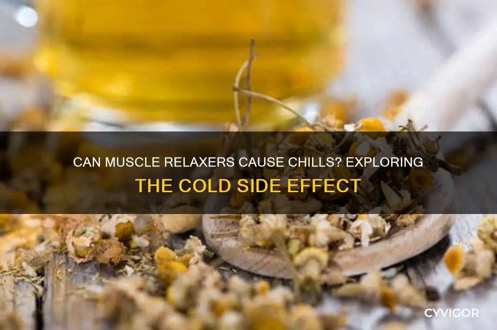 Can Muscle Relaxers Cause Chills? Exploring The Cold Side Effect | CyVigor