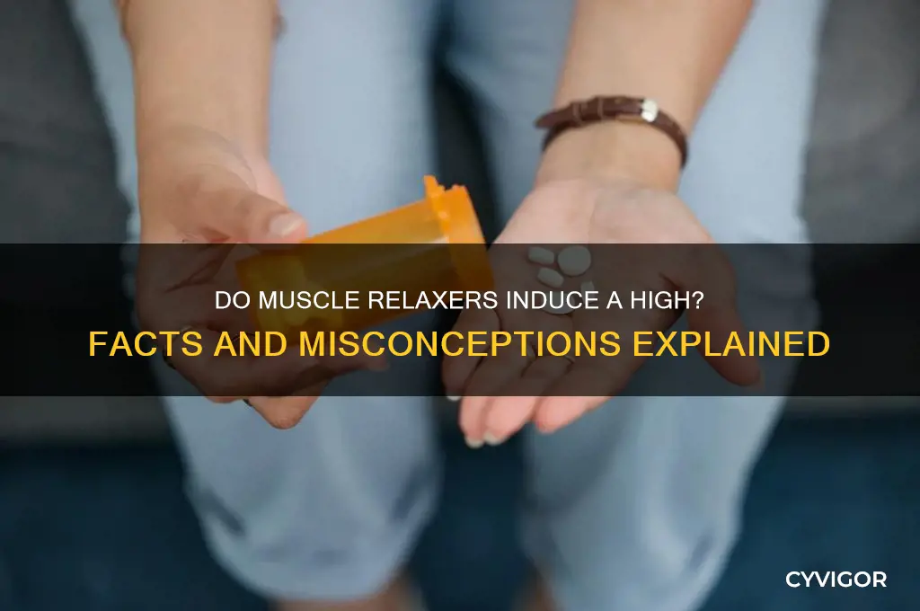 Do Muscle Relaxers Induce A High? Facts And Misconceptions Explained ...