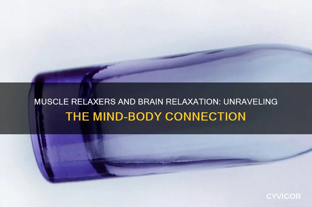 Muscle Relaxers And Brain Relaxation: Unraveling The Mind-Body ...