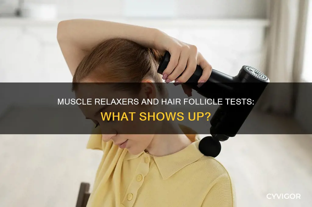 Muscle Relaxers And Hair Follicle Tests: What Shows Up? | CyVigor