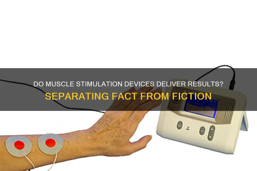 Do Muscle Stimulation Devices Deliver Results? Separating Fact From ...