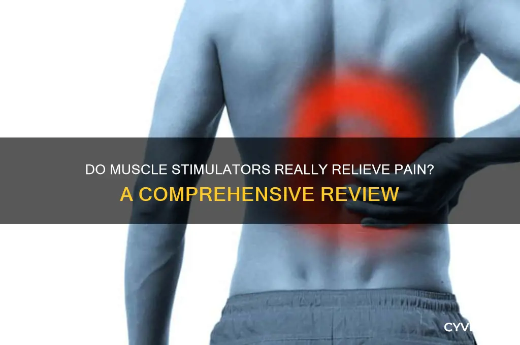 Do Muscle Stimulators Really Relieve Pain? A Comprehensive Review | CyVigor
