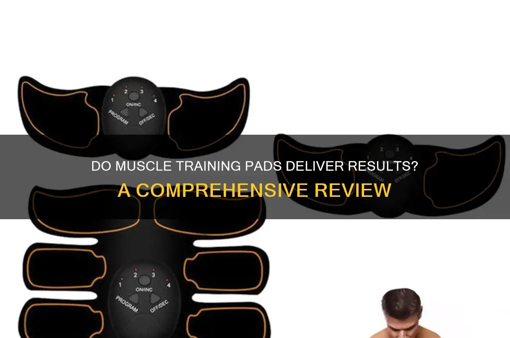 Do Muscle Training Pads Deliver Results? A Comprehensive Review | CyVigor