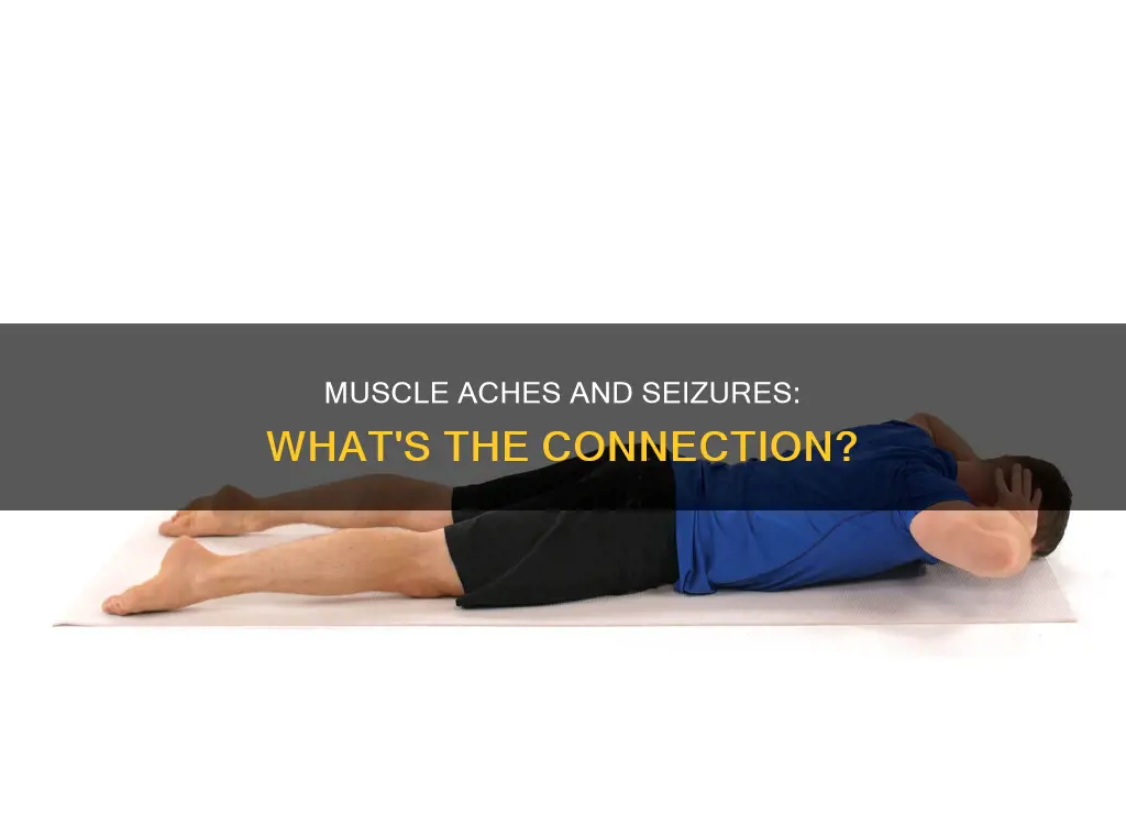 Muscle Aches And Seizures: What's The Connection? | CyVigor