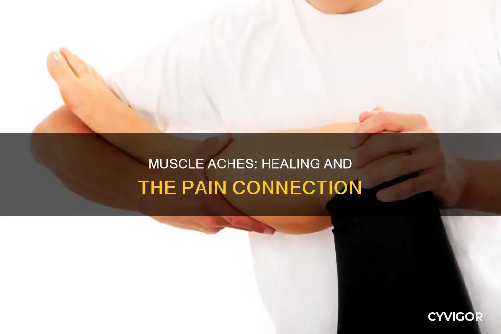 Muscle Aches: Healing And The Pain Connection | CyVigor