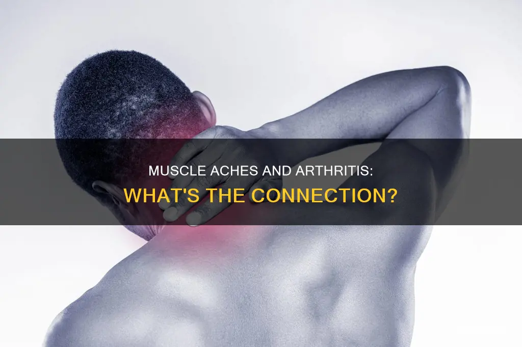 Muscle Aches And Arthritis: What's The Connection? | CyVigor