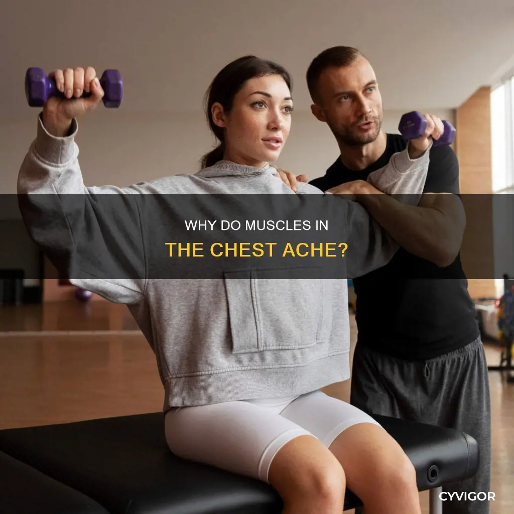 Why Do Muscles In The Chest Ache? | CyVigor