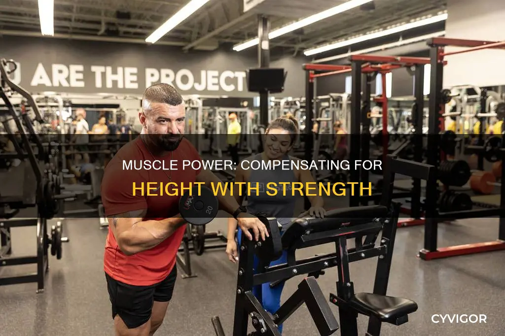 Muscle Power: Compensating For Height With Strength | CyVigor