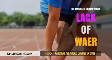Cramping And Dehydration: Understanding The Connection | CyVigor