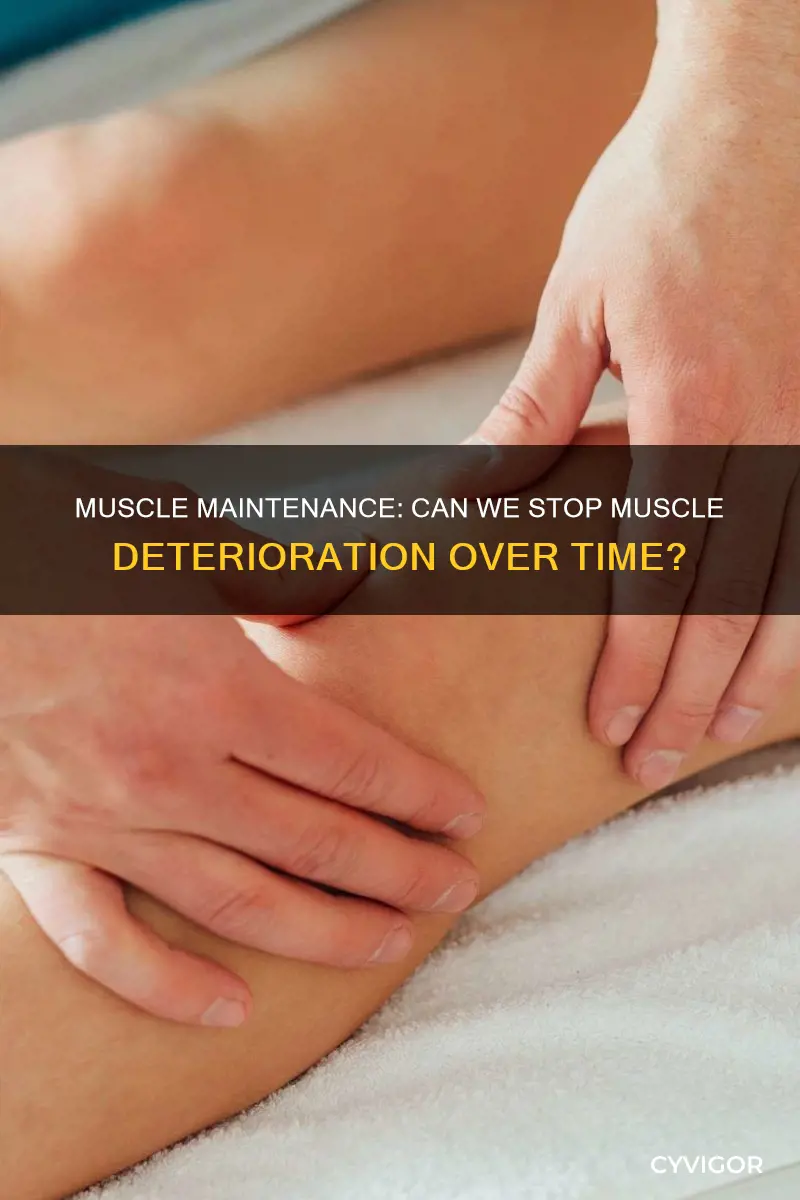 Muscle Maintenance: Can We Stop Muscle Deterioration Over Time? | CyVigor