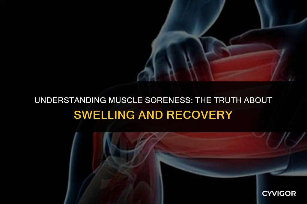 Understanding Muscle Soreness: The Truth About Swelling And Recovery ...