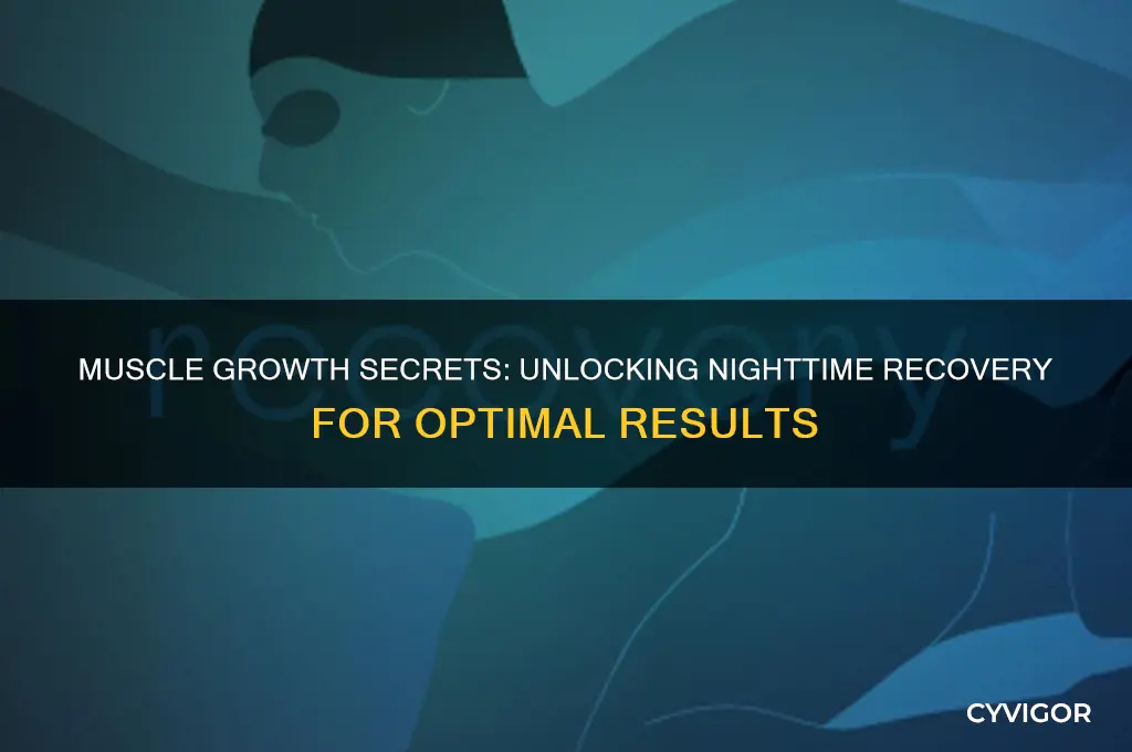 Muscle Growth Secrets: Unlocking Nighttime Recovery For Optimal Results ...