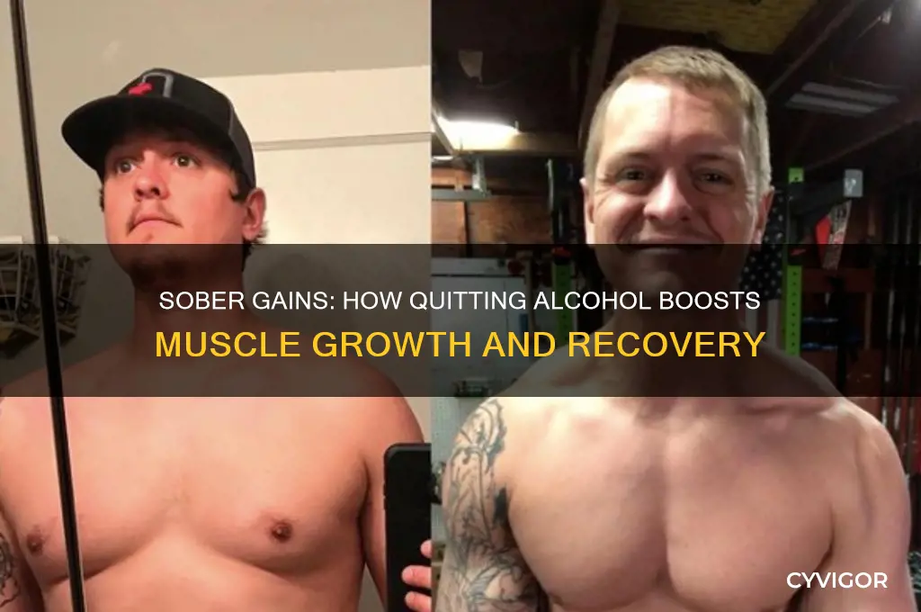 Sober Gains: How Quitting Alcohol Boosts Muscle Growth And Recovery ...