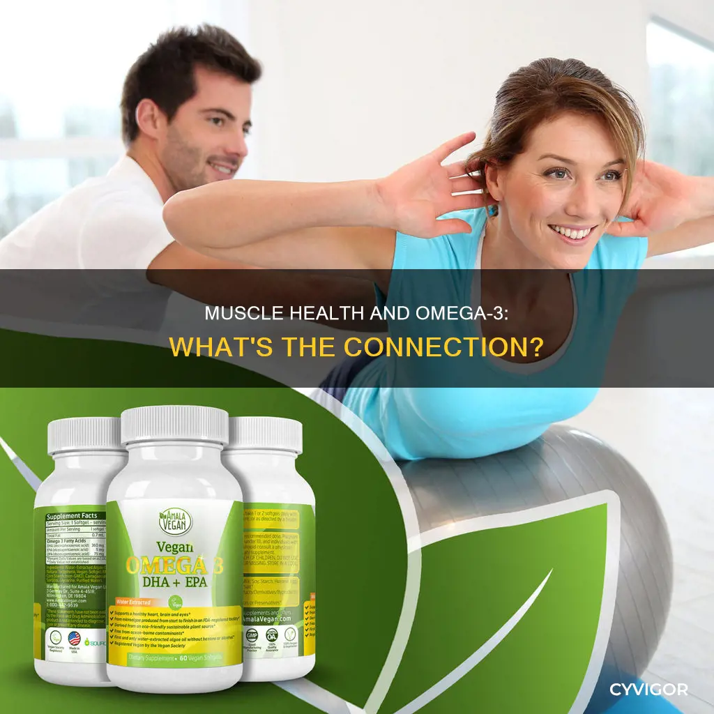 Muscle Health And Omega-3: What's The Connection? | CyVigor