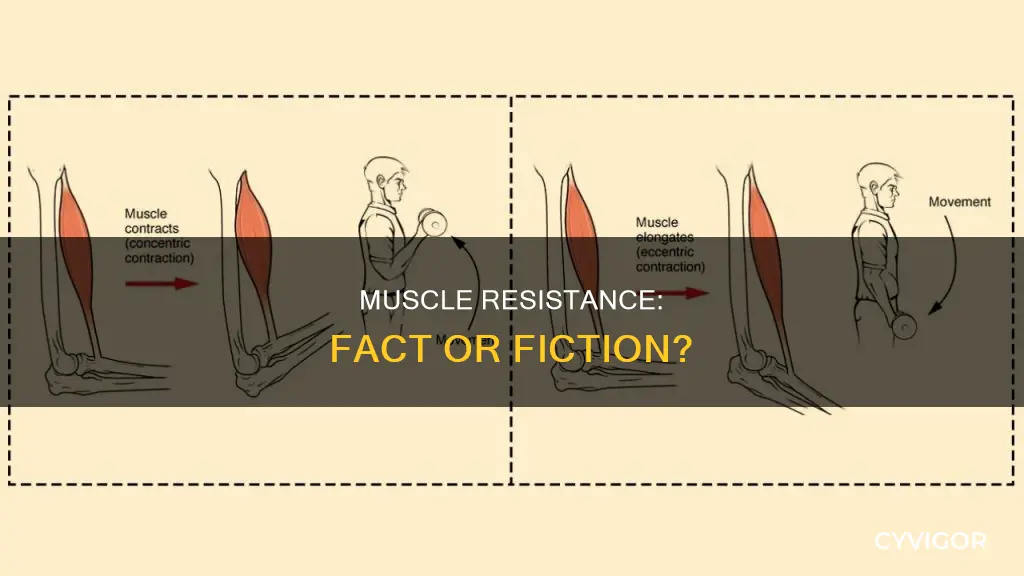 Muscle Resistance: Fact Or Fiction? | CyVigor